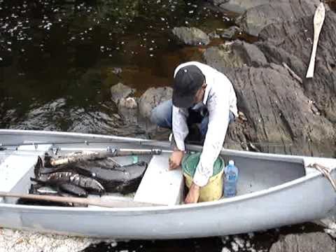 Anjoemara Trip31,Monster v Lokesh - YouTube