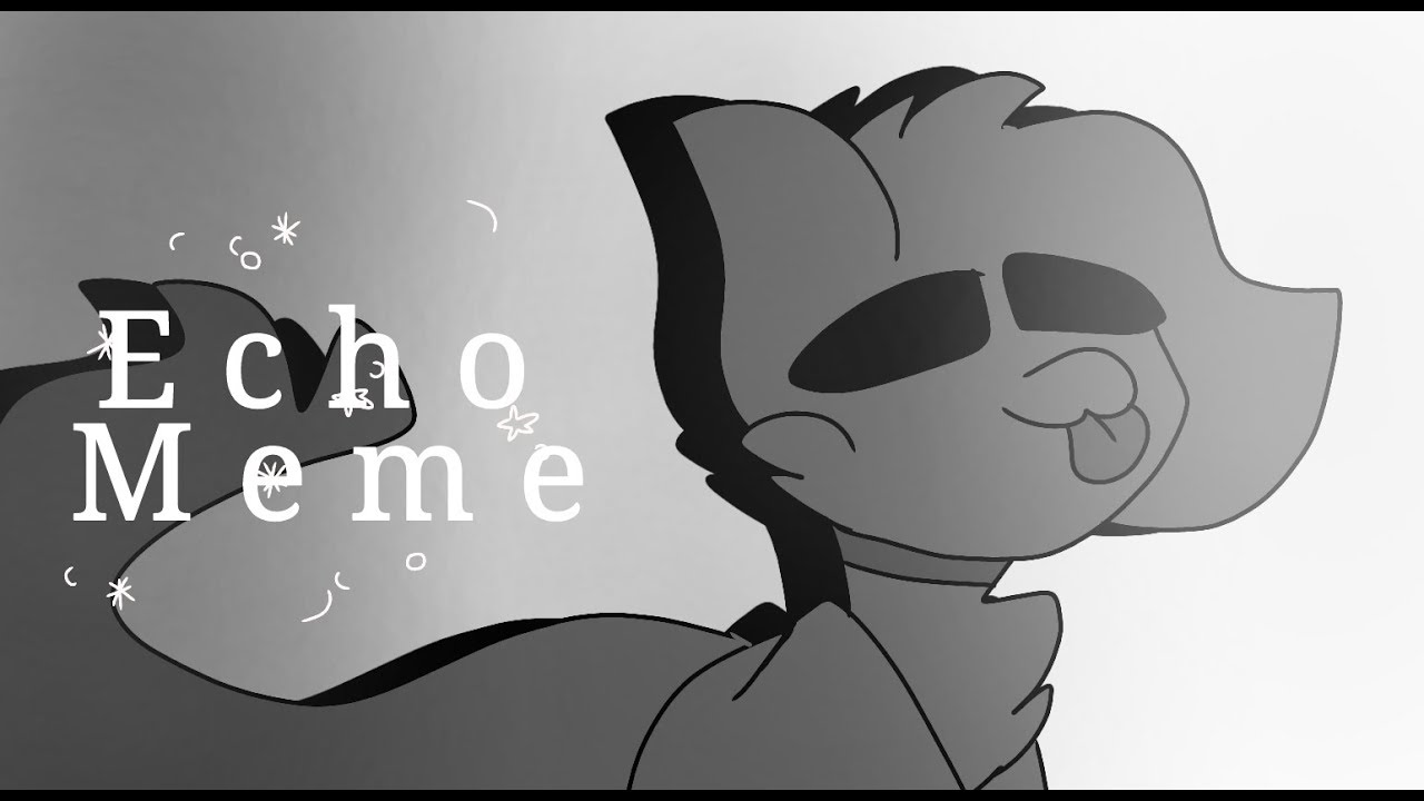 Echo [Meme] - YouTube