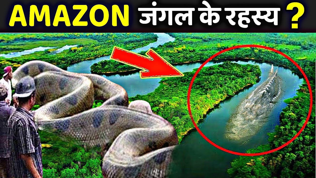 अमेज़न जंगल और इसकी नदी के खतरनाक रहस्य | Amazon Rain Forest | Secrets Of Amazon Forest - YouTube