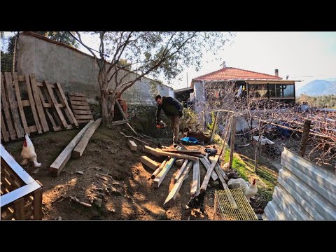 CİVCİVLER ÇOK HIZLI BÜYÜYOR KÜMESİ ACİLEN BÜYÜTÜYORUZ | ESKİ TAVUK KÜMESİNİ YENİLEME | KÖY VLOG