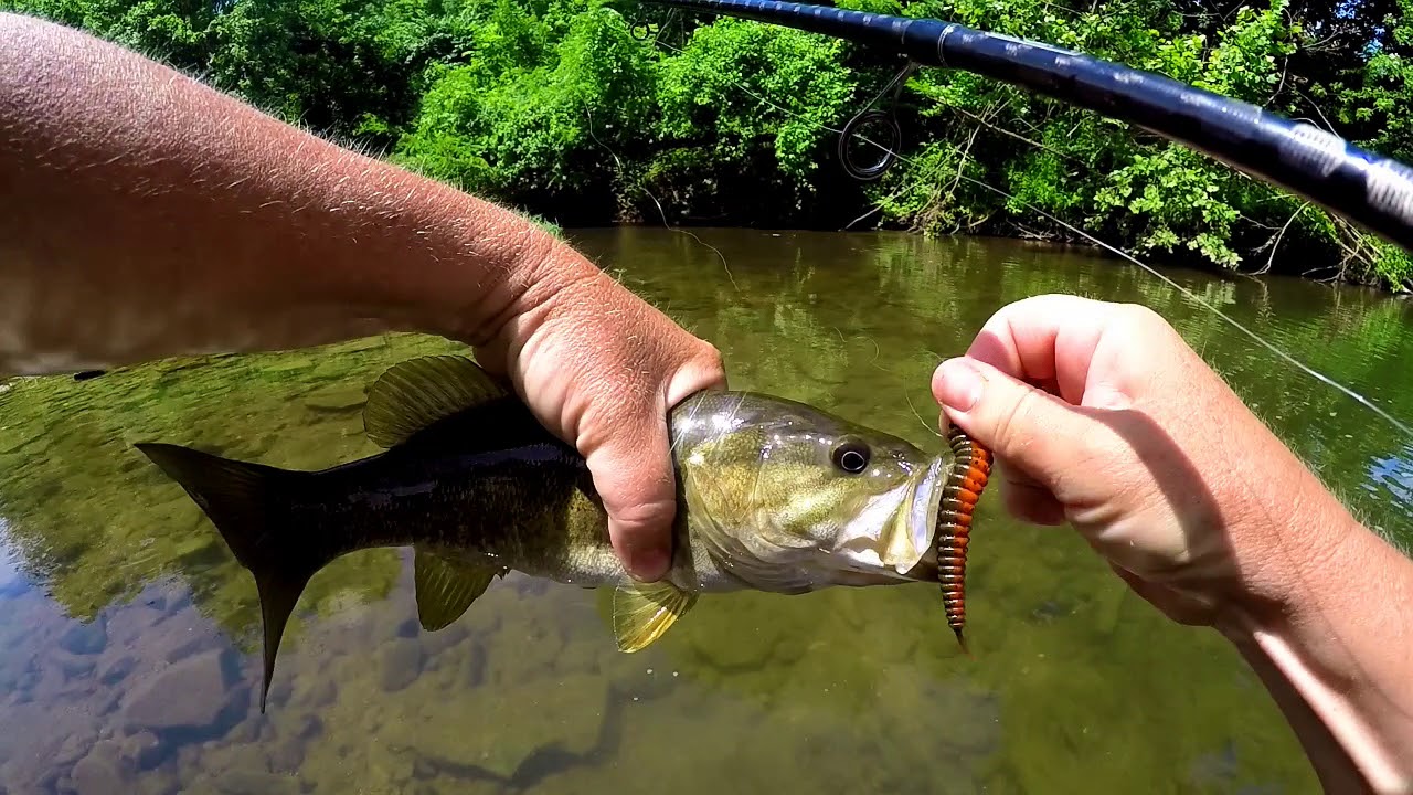 Little Fish Need Love Too! (The Beginners Guide To Creek Dinks) - YouTube