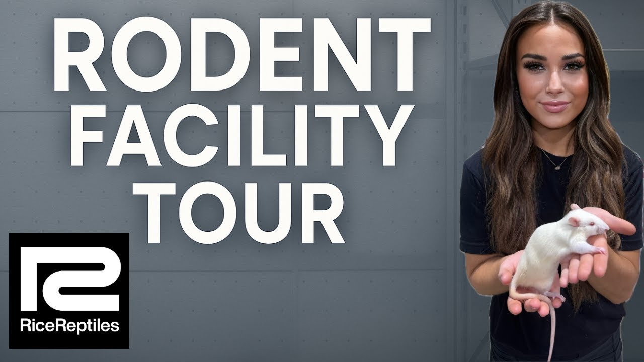 Rodent Facility Tour - YouTube