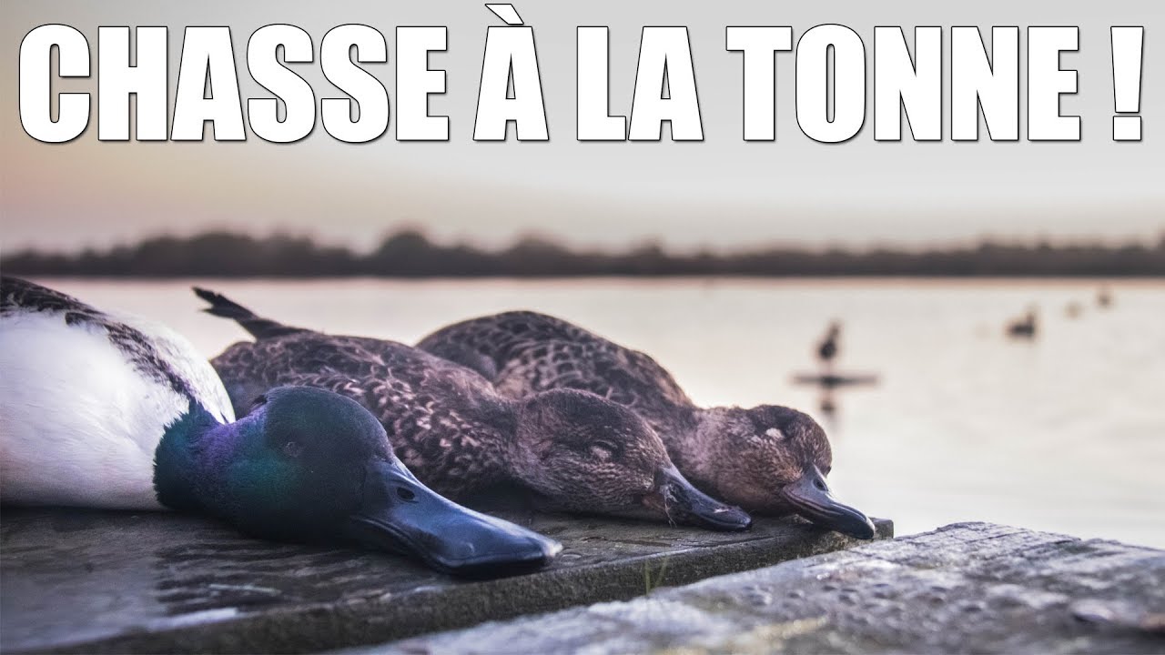 Chasse à la Tonne au Bassin d'Arcachon ! - Marius Chasse - YouTube