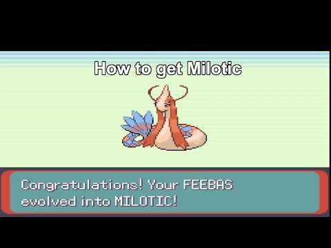 How to Get and Evolve Feebas in Pokemon Emerald Before the Sixth Gym (Winona)