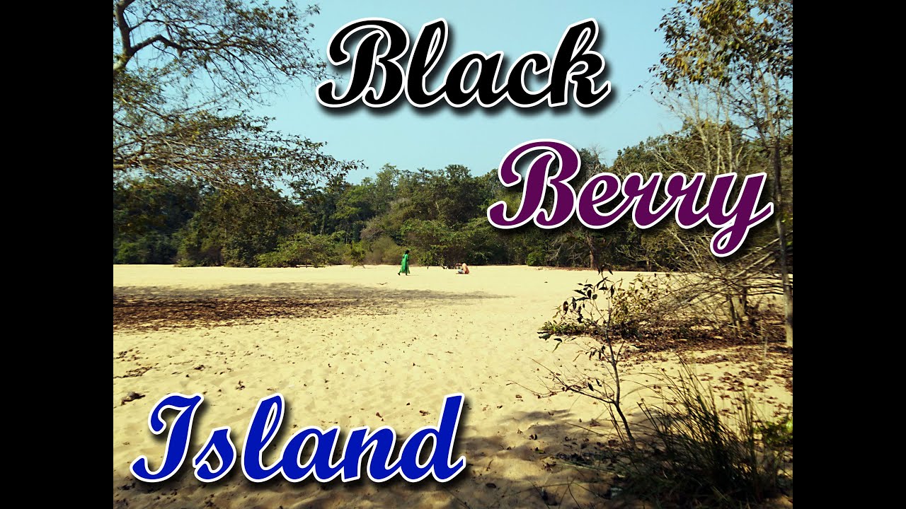 Blackberry Island|Telangana tourism|Tourism places in tadvai|Telangana ...
