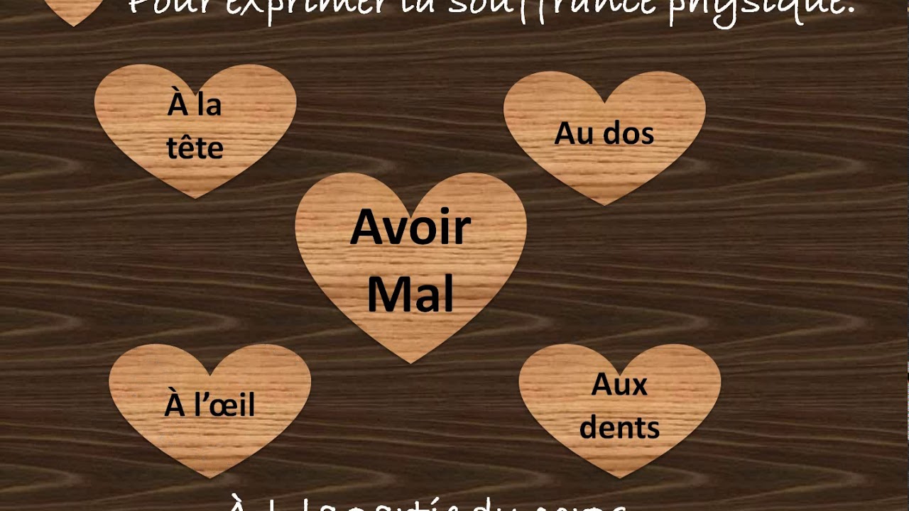 Le Verbe Avoir | TO HAVE | Au Présent | for Beginners - YouTube