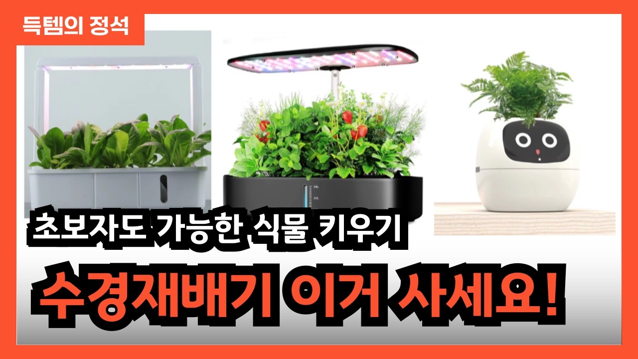 식집사 주목 식물 키우기 초보에게 추천하는 수경 재배기 스마트 파종기 수경재배기추천 홈가드닝 스마트파종기 Youtube