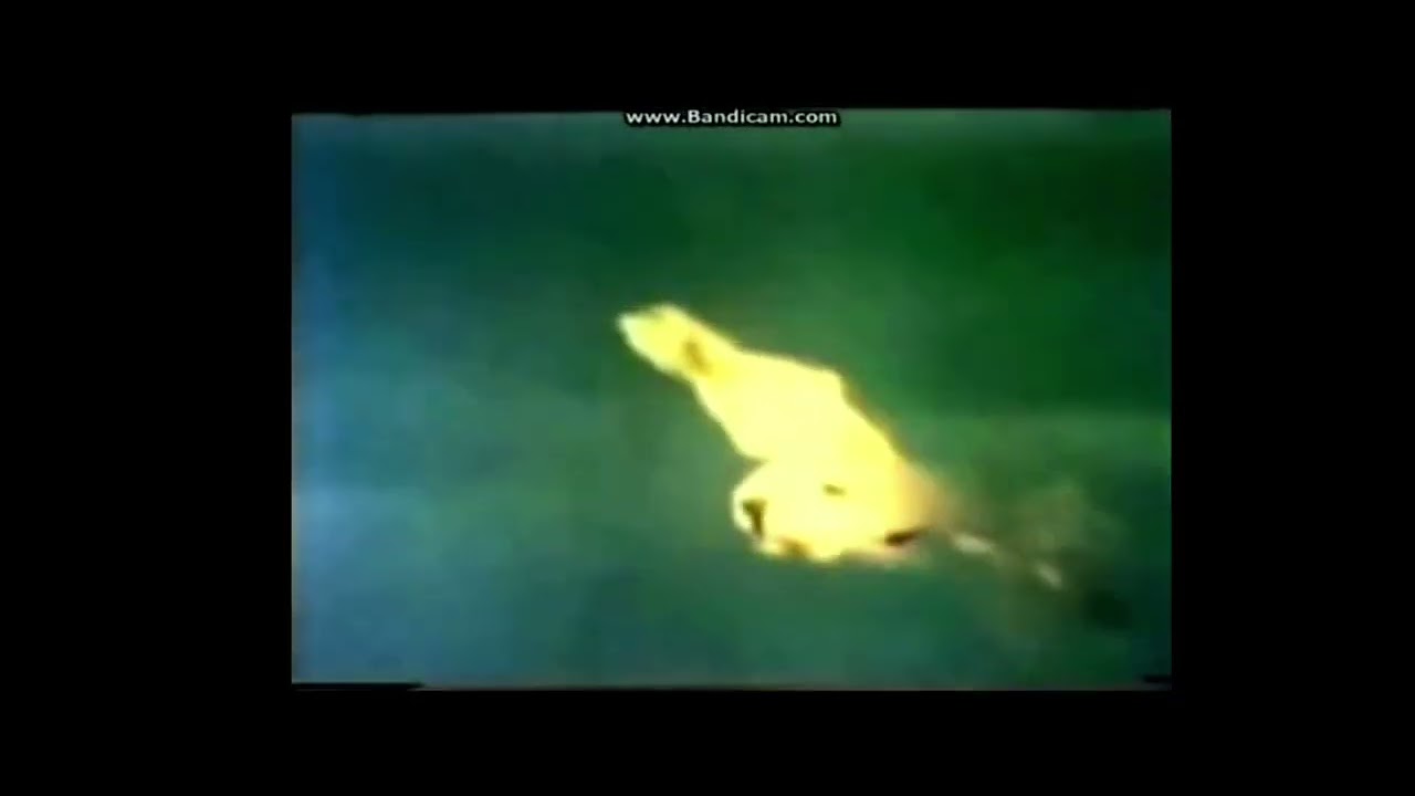 Falklands War vibes. - YouTube