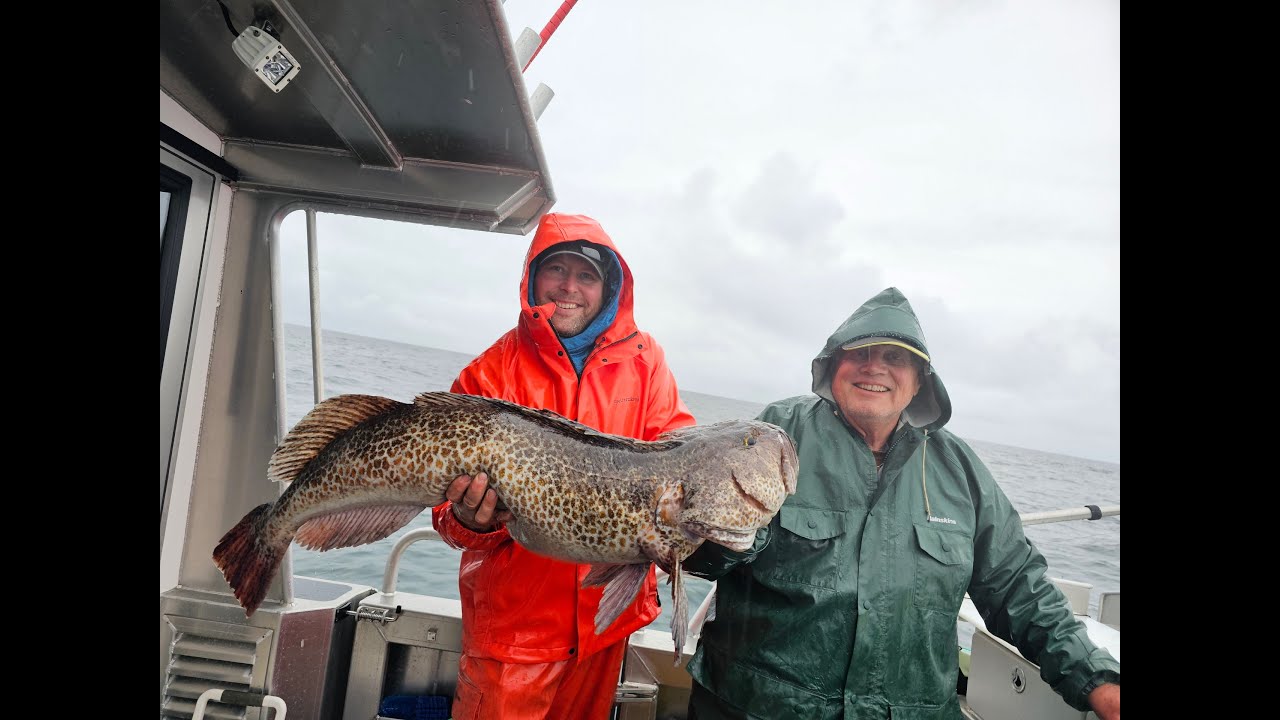 Huge Lingcod - YouTube