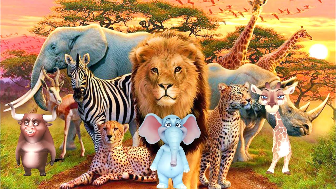 giraffe aur sher ki fight animal cartoon video T.P.4.Y.T - YouTube