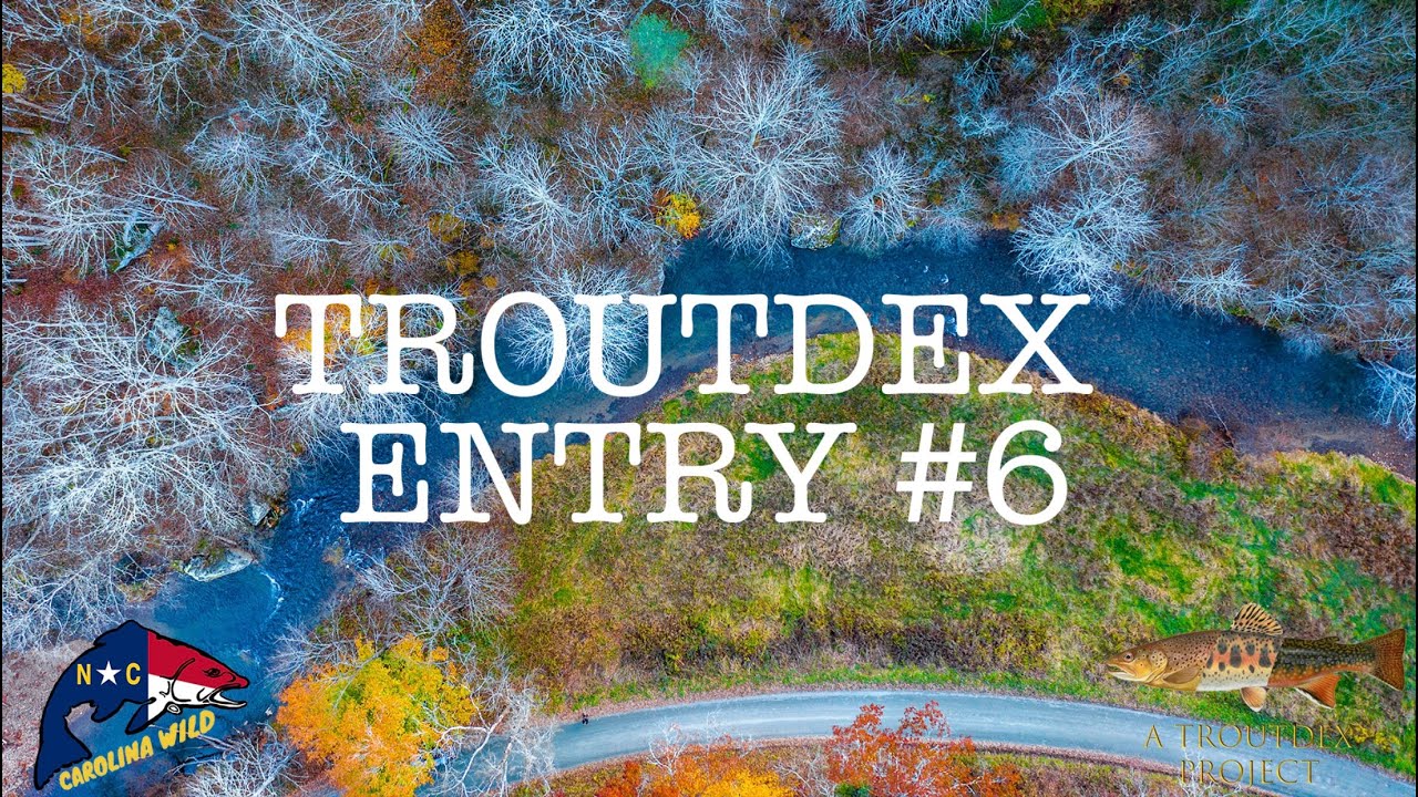 Carolina Wild- Fly Fishing Helton Creek, NC - YouTube