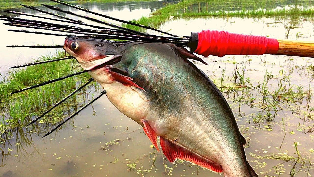 Old Traditional Fishing Technique | Primitive Fishing From Flood Water ...