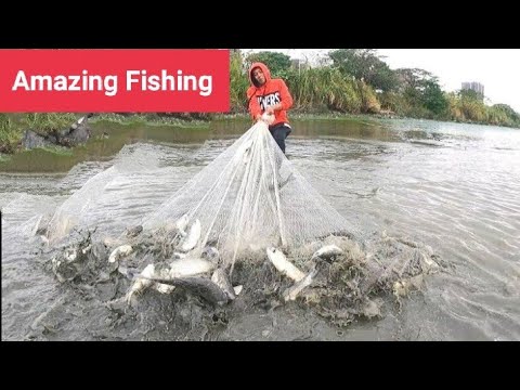 Incredible Big 4 Types Fish। Amazing Fishing Fisherman Catching Big ...