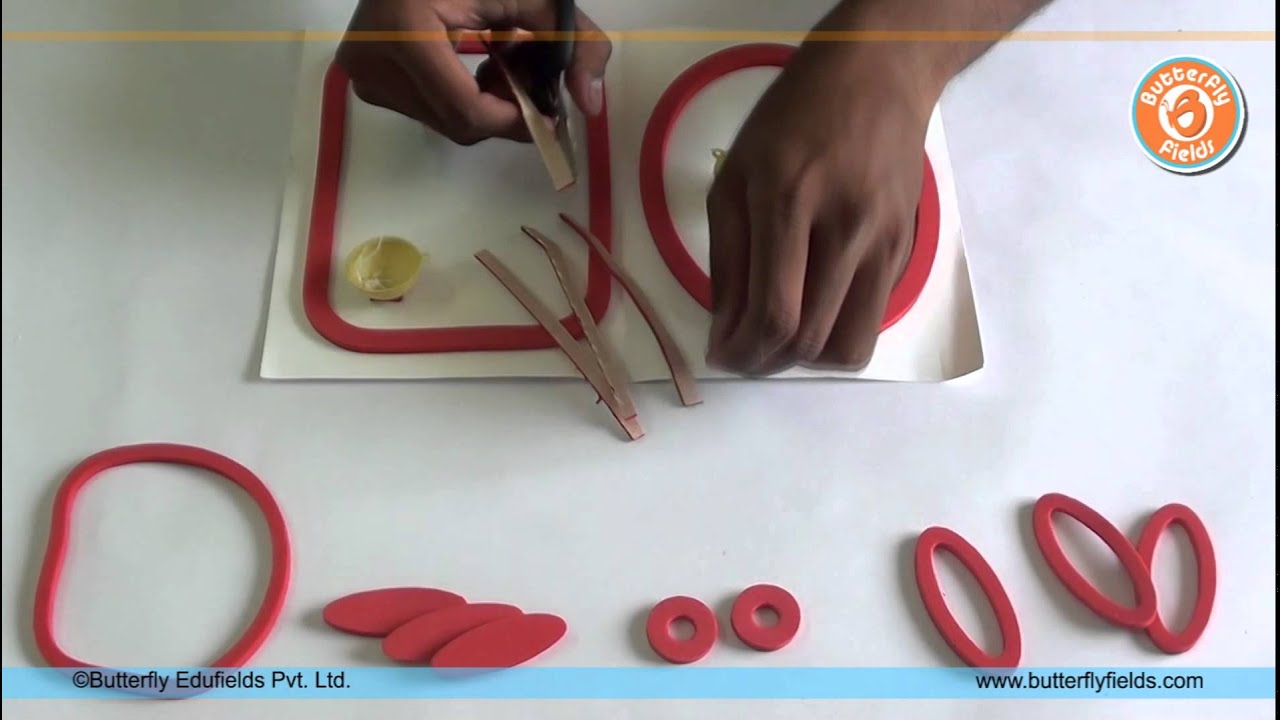 Y FUUL 093 Activity 2 Making Smooth and Rough Endoplasmic Reticulum ...
