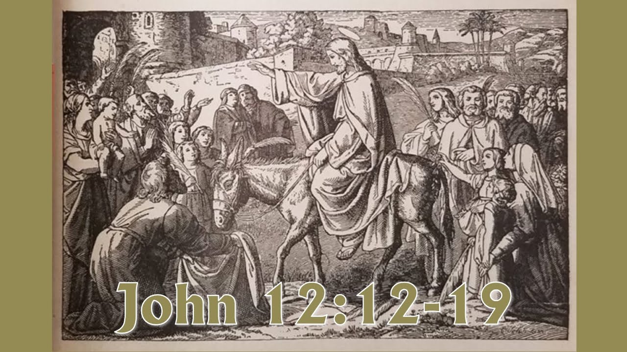 John 12:12-19 Sermon by the Revd Karl Przywala - YouTube