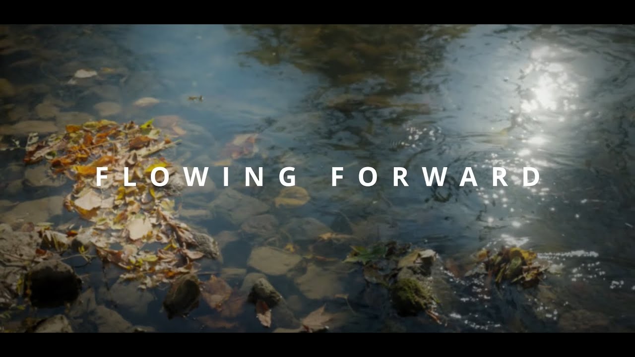 Flowing Forward Trailer #1 - Black Swamp Conservancy 2023 - YouTube