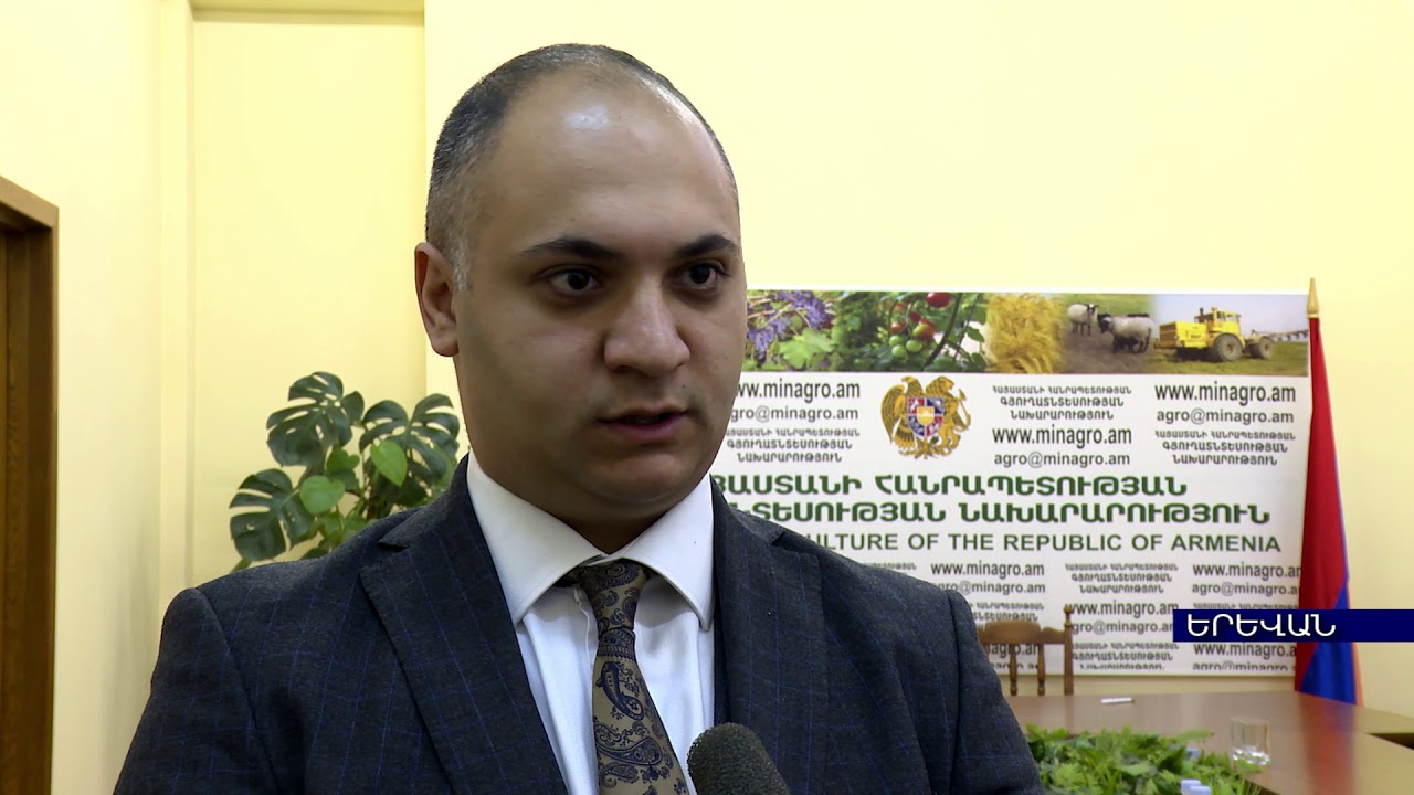 ՀՀ ԳՅՈՒՂԱՏՆՏԵՍՈՒԹՅԱՆ ԶԱՐԳԱՑՄԱՆ ՀԻՄՆԱԴՐԱՄԸ ԵՎ «ԱԿԲԱ ԿՐԵԴԻՏ ԱԳՐԻԿՈԼ ԲԱՆԿ