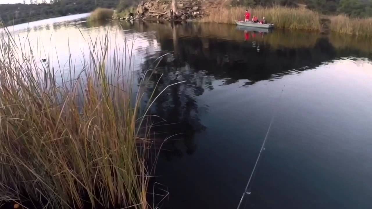 Trout Fishing 1/2: Dixon Lake with Mini Jig (LIANG CHEN) - YouTube