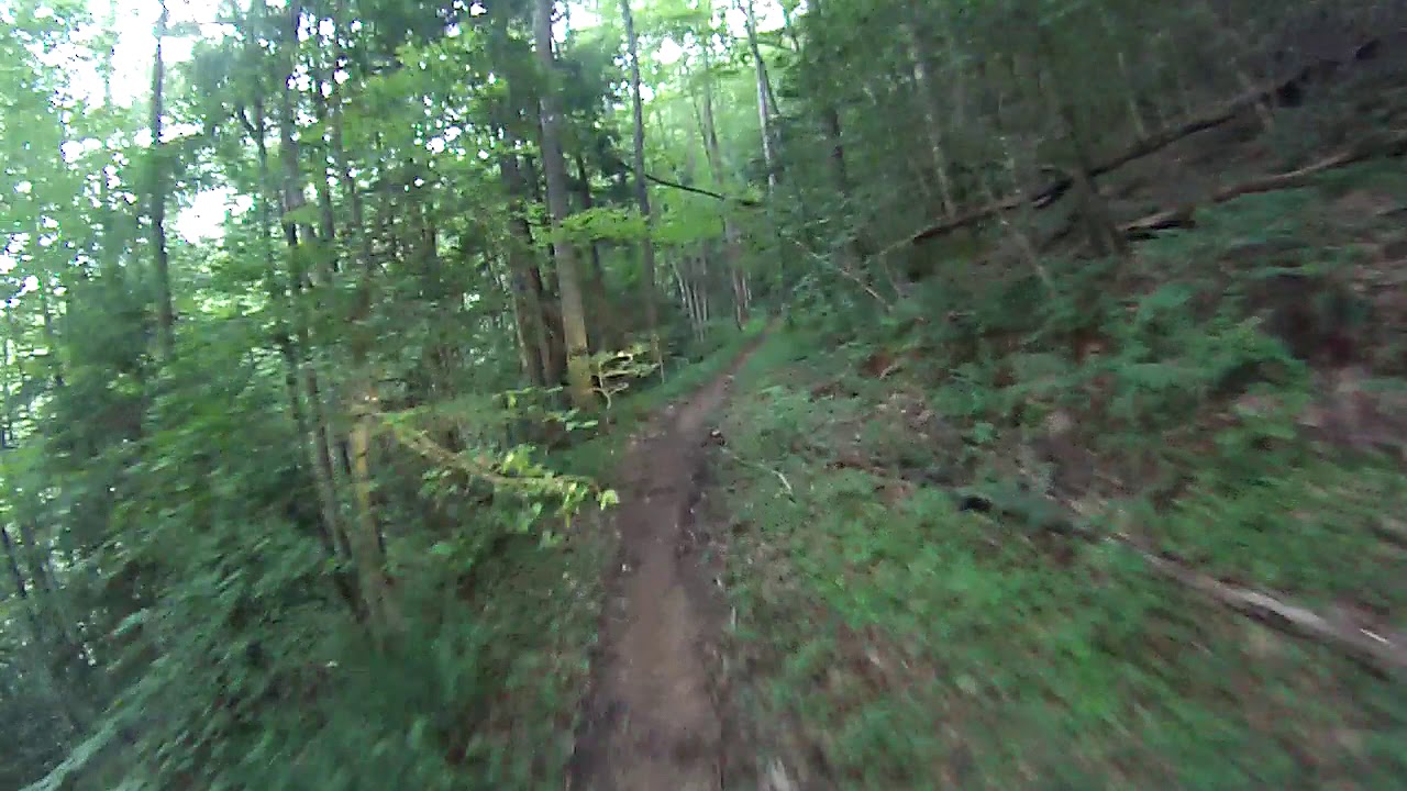 KAT - Kentucky Adventure Tour - Hard Section 5 - July, 2019 - YouTube