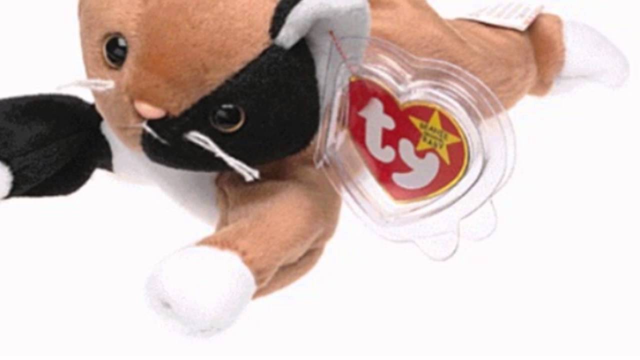 Ty Beanie Babies - Chip The Cat (Toy) - YouTube