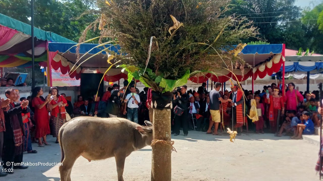 Borotan Horbo Lahatan ni Ulaon Peresmian dohot Pelantikan Ketua Toga ...