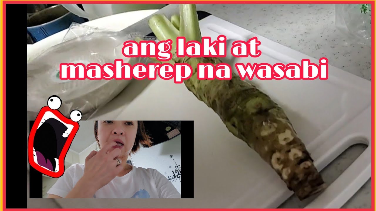 FRESH WASABI SO YUMMY|| REAL WASABI [first time to eat real wasabi ...