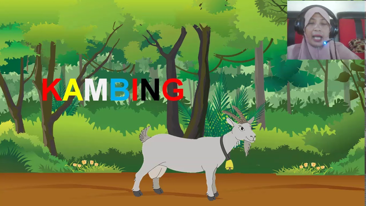 VIDEO PEMBELAJARAN PENGENALAN JENIS BINATANG - YouTube