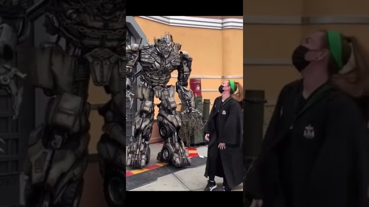 Megatron Roasts a Harry Potter Fan #Slytherin #HufflePuff - YouTube