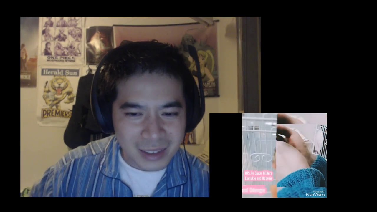 BTS Jin and his pets Eomuk Odengie and Jjangu Compilation Reaction ...