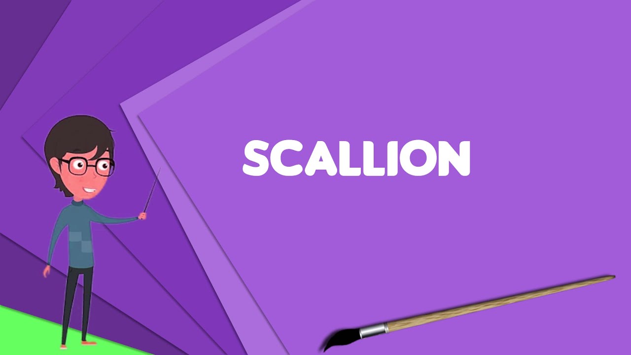 What is Scallion? Explain Scallion, Define Scallion, Meaning of ...