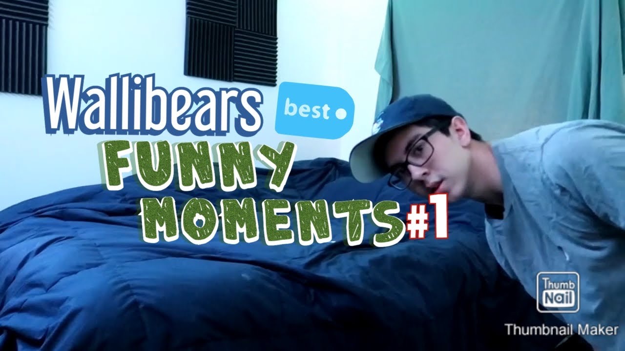Wallibears Funny Moments - YouTube