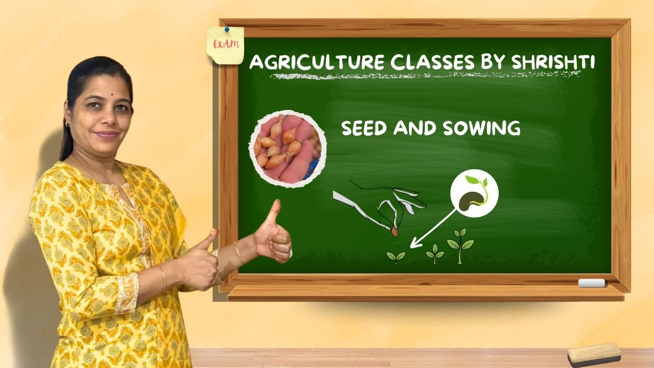 Seed and Sowing | Definition, Characteristics & Classes of Seed | BSc ...