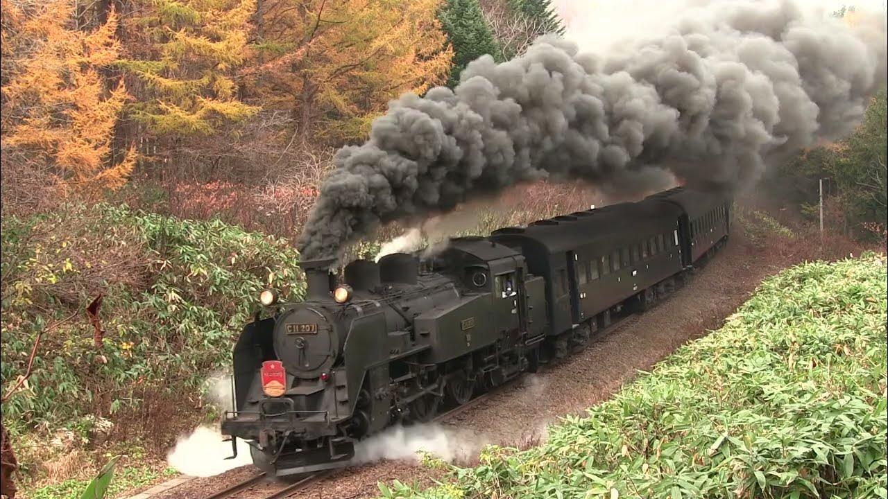 C11 207 SLニセコ号 ラストシーズン (2014.11.1) - YouTube