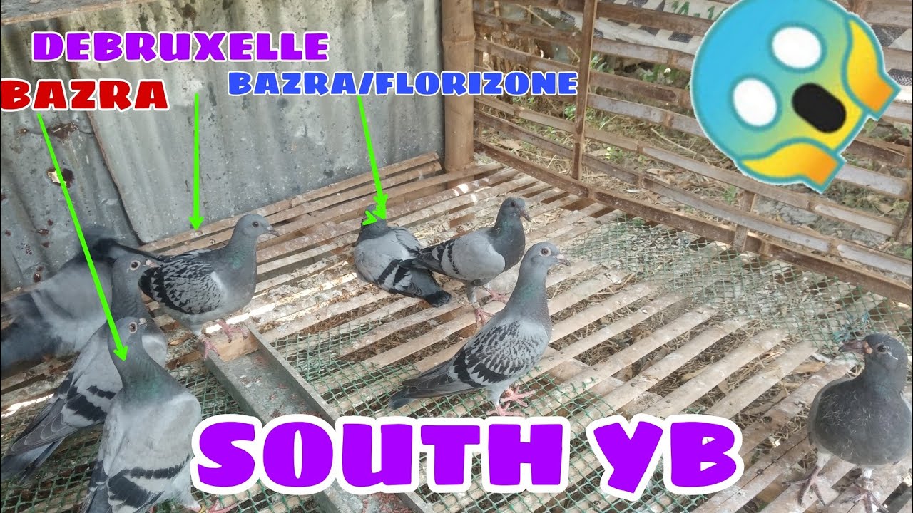 mga MALULUPIT na yb nasa loft kona! - YouTube