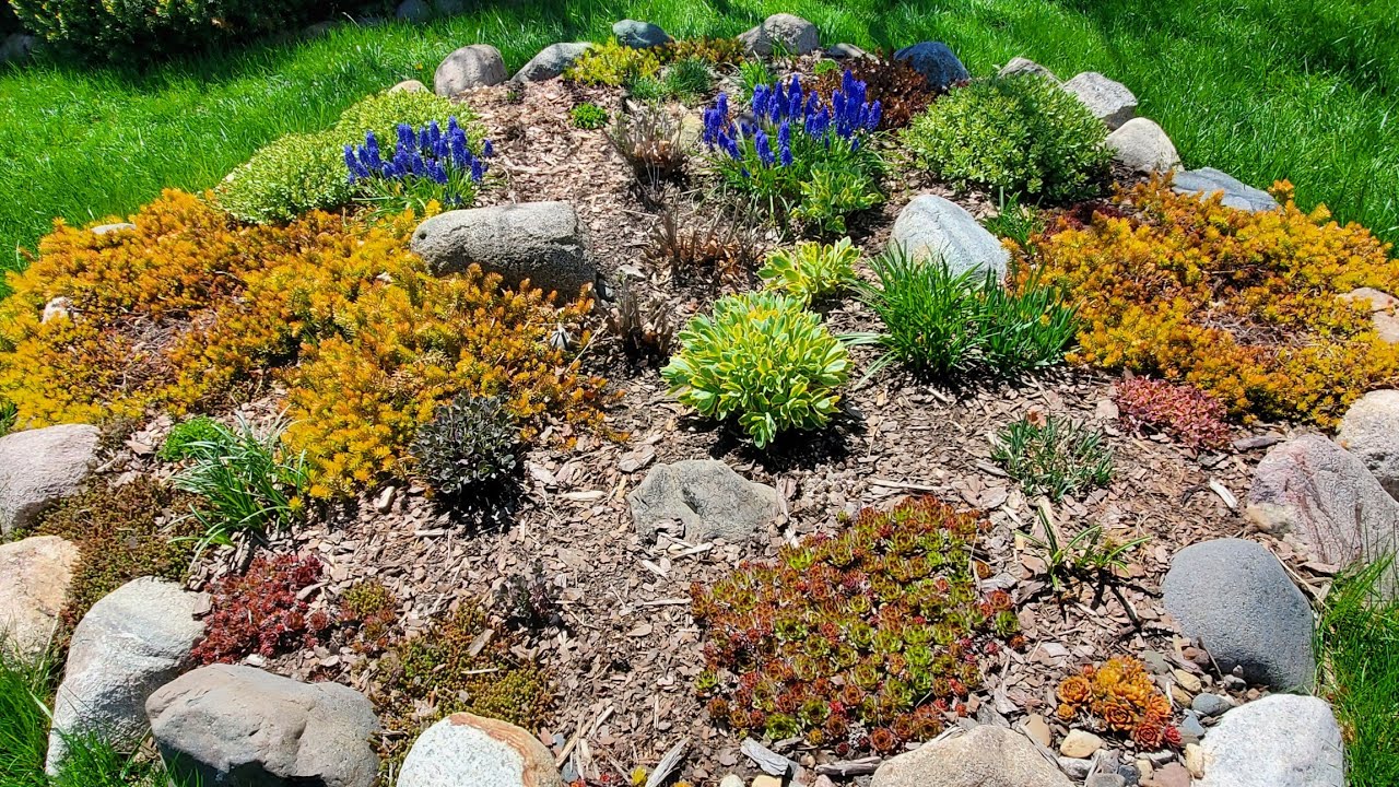 Early May Spring Color Tour, What is Blooming in the Garden, Minnesota ...