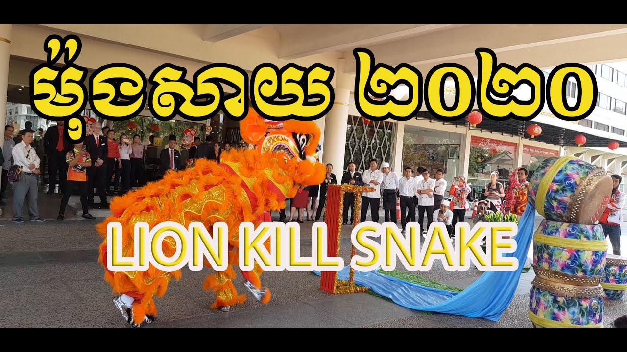 ម៉ុង សាយ ២០២០ (Lion Dance 2020 Kill snake) - YouTube
