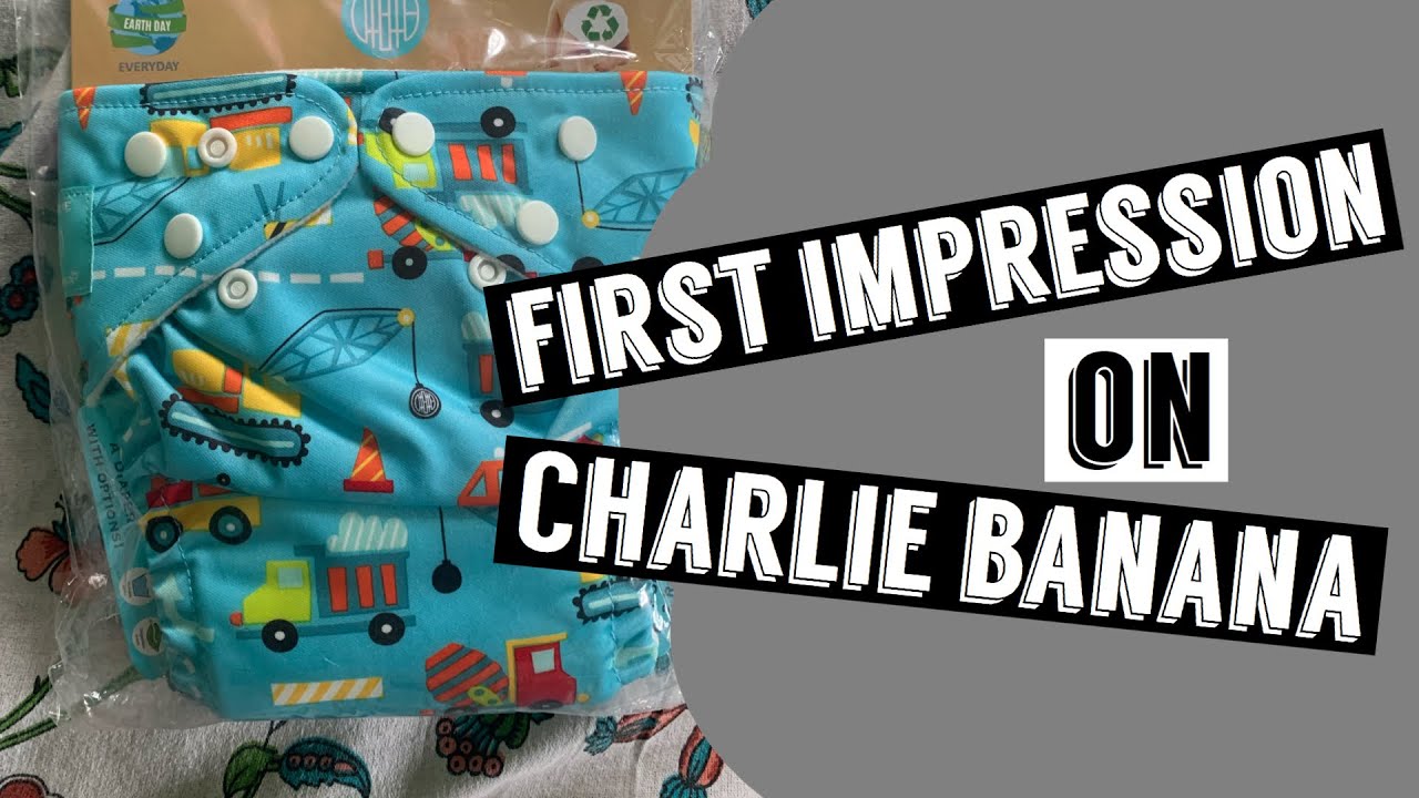 First Impression on Charlie Banana Pocket Cloth diapers | Charlie ...