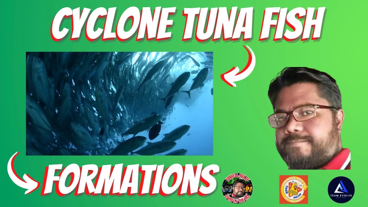 CYCLONE TUNA FISH FORMATION - YouTube