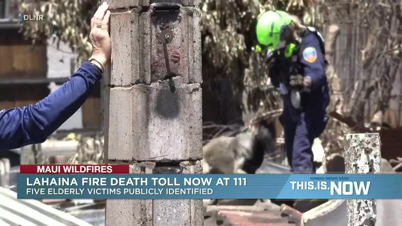 Recovery teams have searched just 40% of fire-ravaged Lahaina as death ...