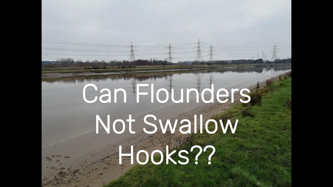 UK Sea Fishing - Flounder Fishing River Dee - YouTube