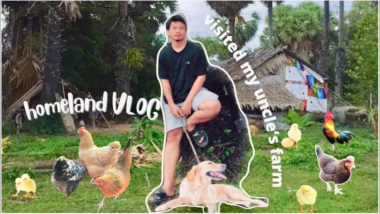 homeland & uncle’s farm [VLOG] - YouTube