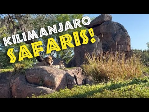 Kilimanjaro Safaris at Animal Kingdom (FULL RIDE) - YouTube