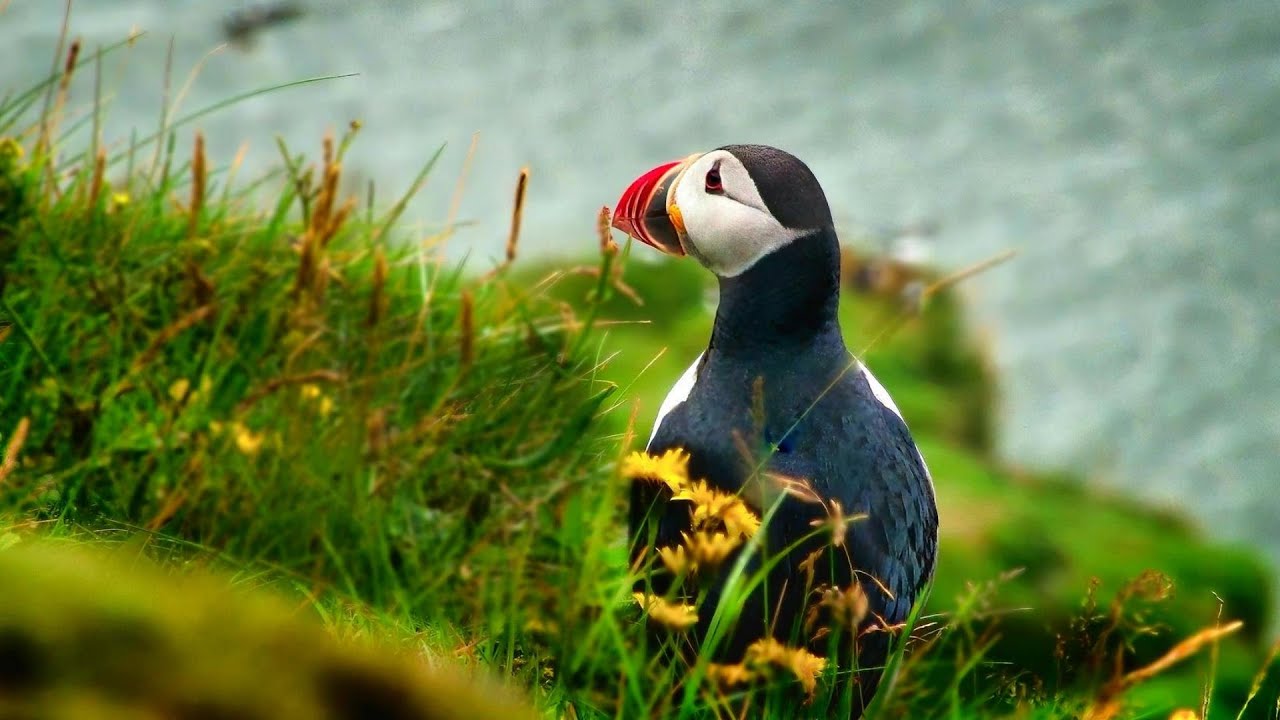 Iceland Video Tour 4K updated - YouTube