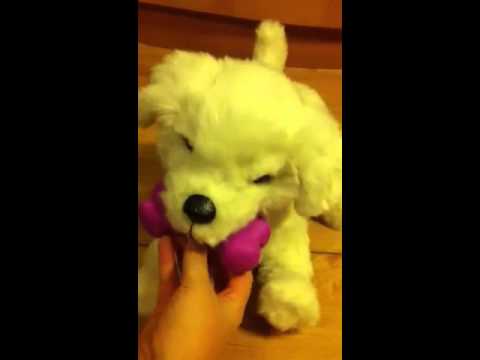 Hasbro fur real friends Cookie my playful pup demonstration - YouTube