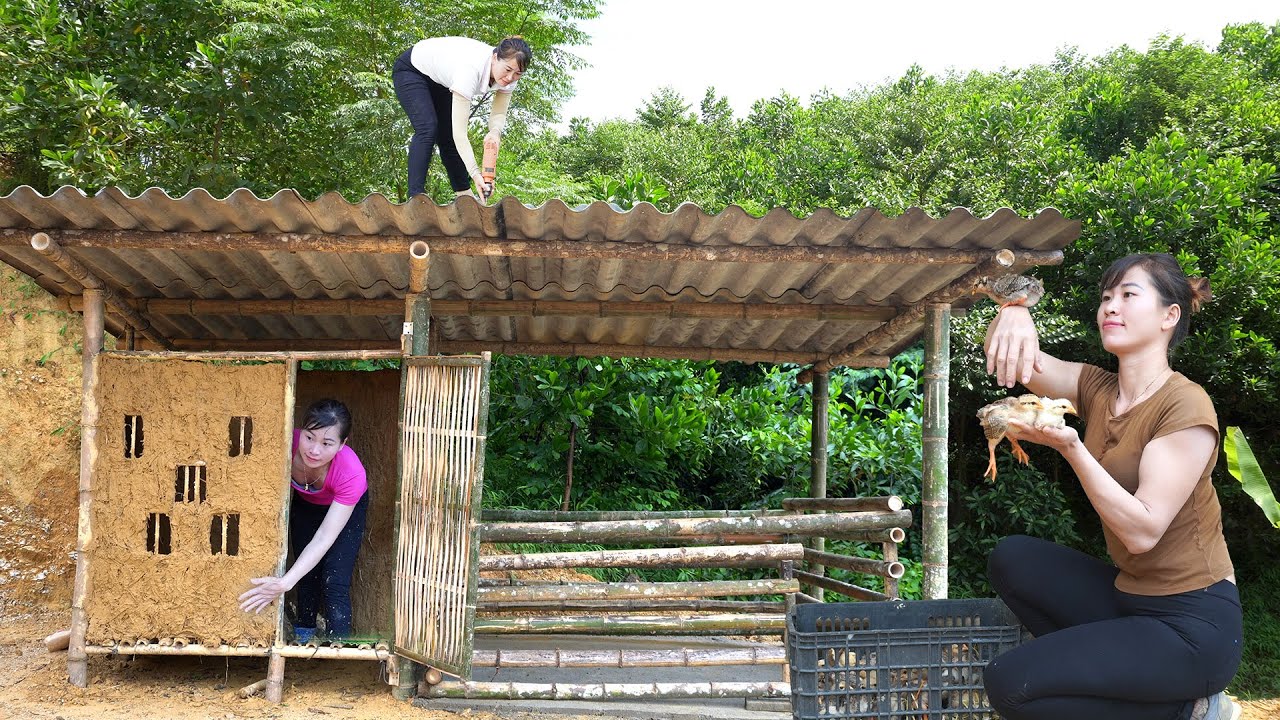 The girl built farm - Build chicken coop and pig coop next to each ...
