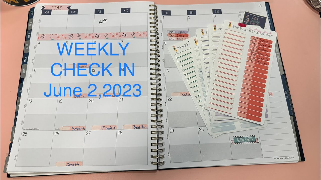 WEEK 1 CHECK IN | JUNE 2023 BUDGET| #trackingexpenses #expenses #budget ...