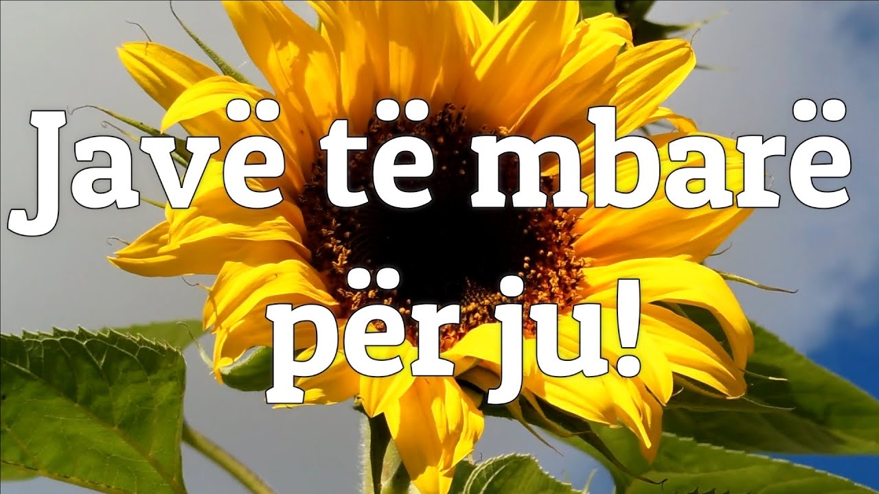 Jave te mbare - YouTube