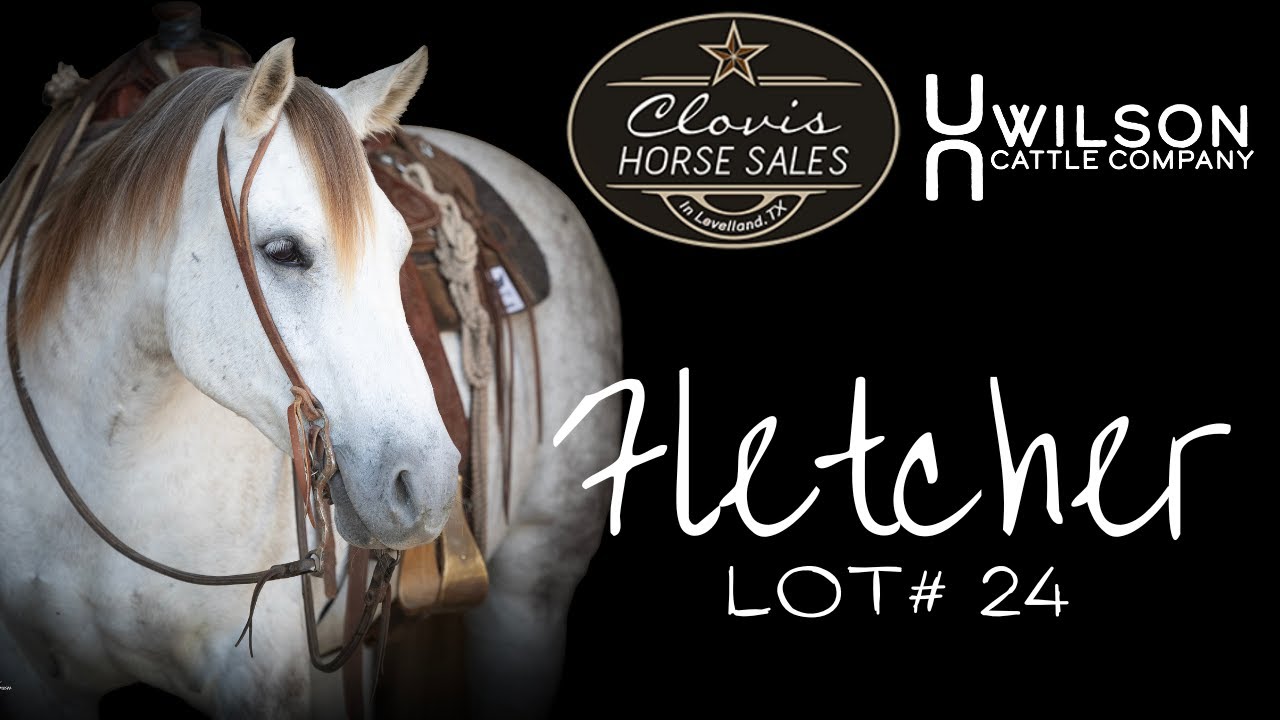 "Fletcher" - Wilson Cattle Co x Clovis Horse Sale - YouTube