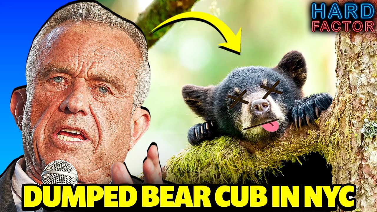 RFK Jr. Admits To Dumping Dead Bear Cub In NYC's Central Park! - YouTube