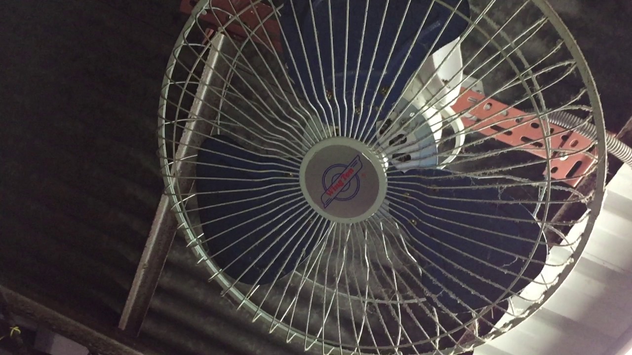 Windy brand exhaust (extractor) fan and Wing Ton brand orbit ceiling ...